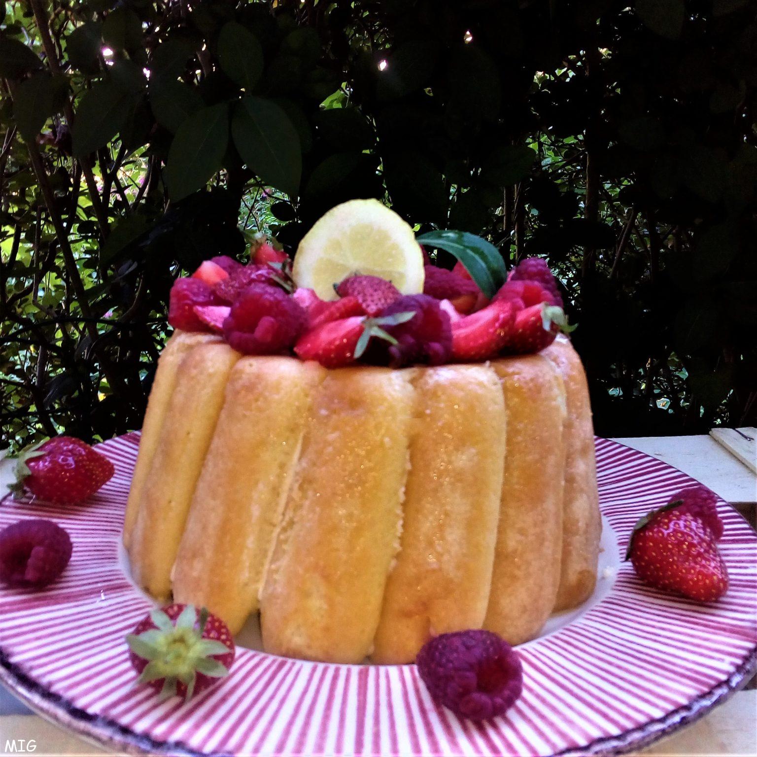 Charlotte aux Citrons et Fruits Rouges – Mes Inspirations Gourmandes