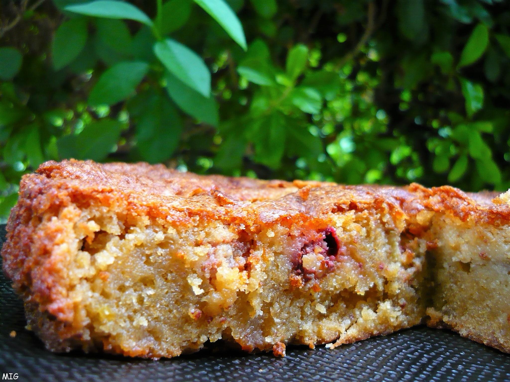 Gâteau à la Rhubarbe à la Pâte d’Amandes – Mes Inspirations Gourmandes